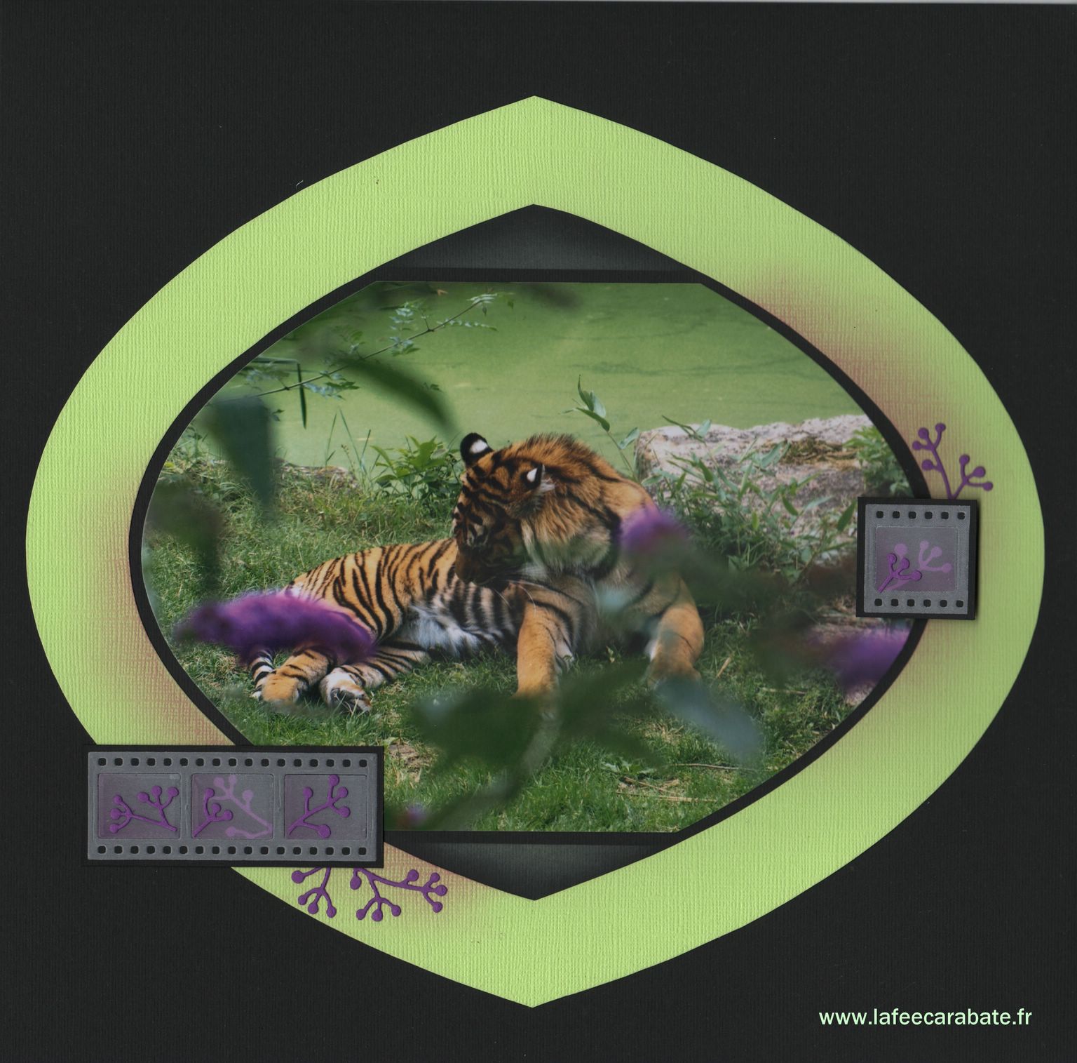 photo unique | Scrapbooking azza, Scrapbooking photo, Scrapbooking idée